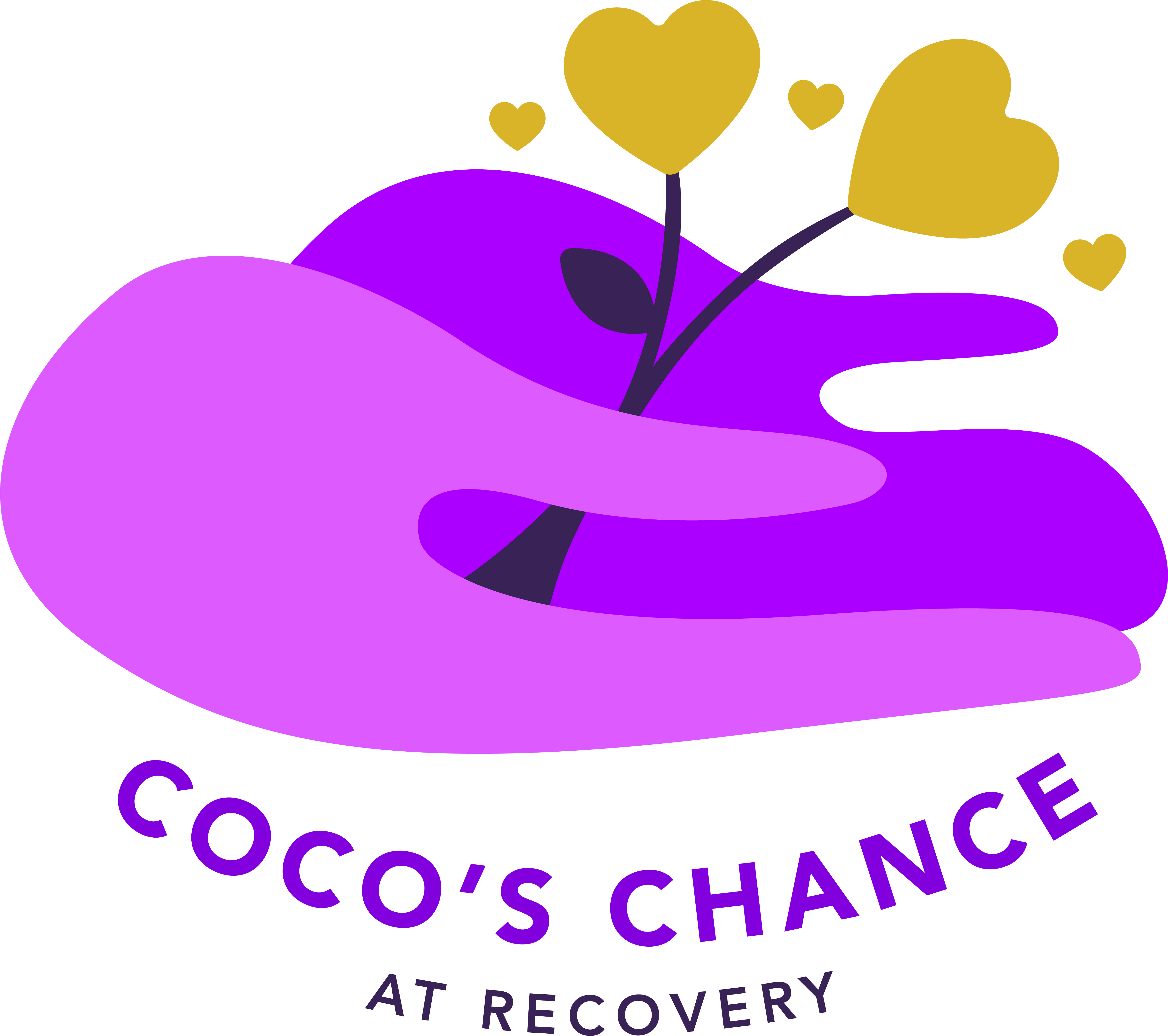 Coco's Chance - A Journey 2 Heal